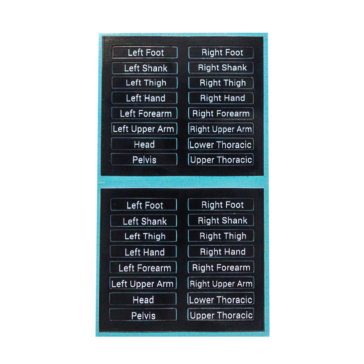 Ultium Body Segment Label Set – Noraxon